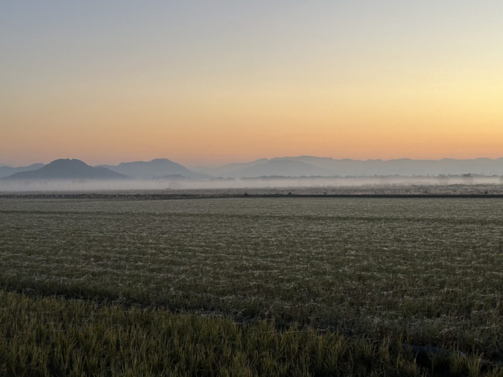年末のお知らせ | 株式会社グリーンちゅうず 滋賀県野洲市のお米を全国へ