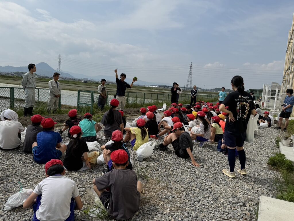 スクール農園~2025~ | 株式会社グリーンちゅうず 滋賀県野洲市のお米を全国へ
