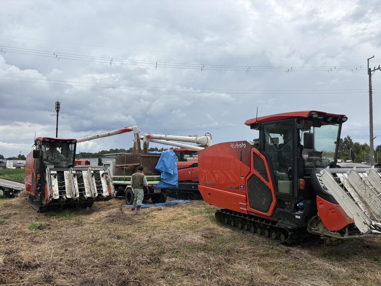 稲刈りが始まりました。 | 株式会社グリーンちゅうず 滋賀県野洲市のお米を全国へ